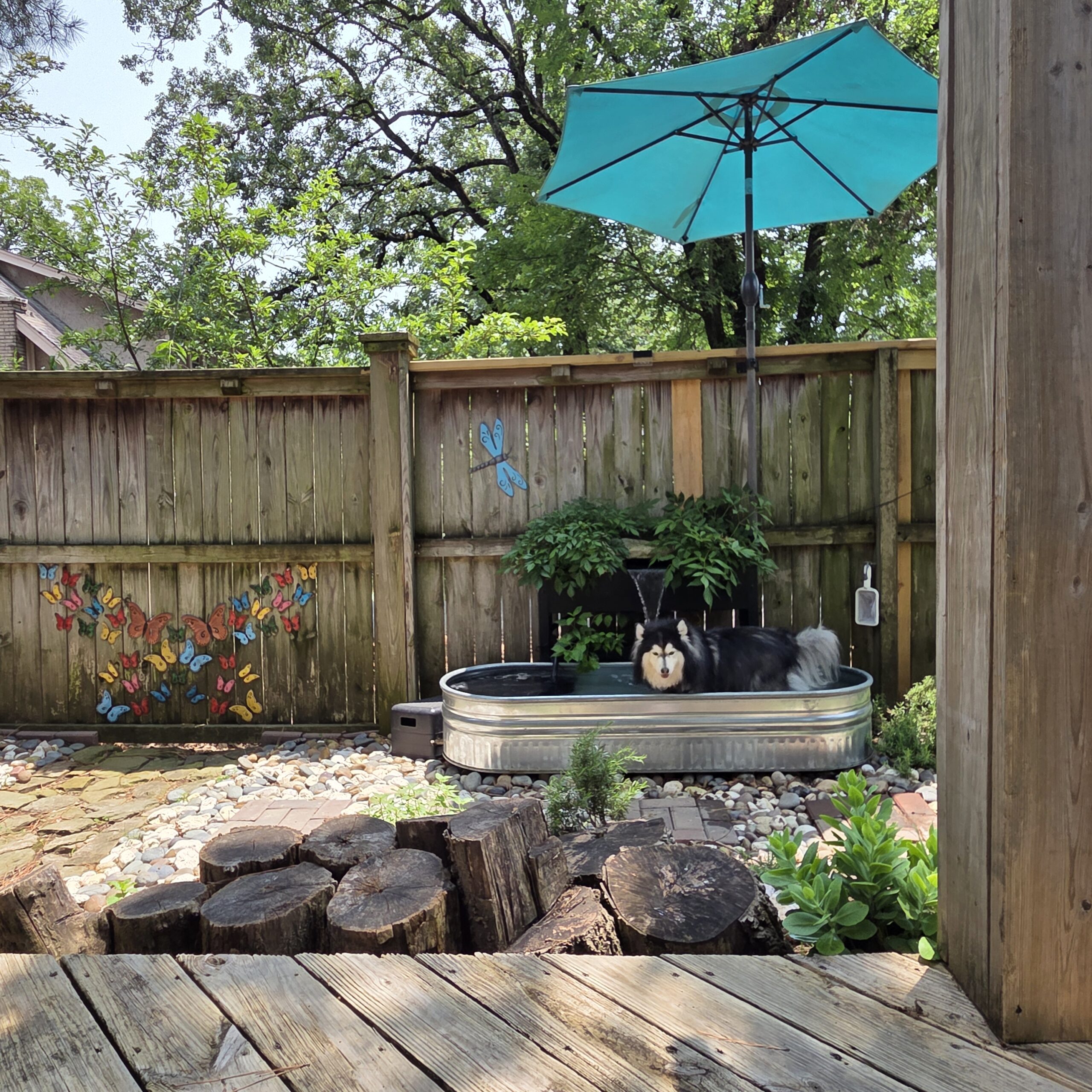 Visit Poochie Garden Poochie Garden